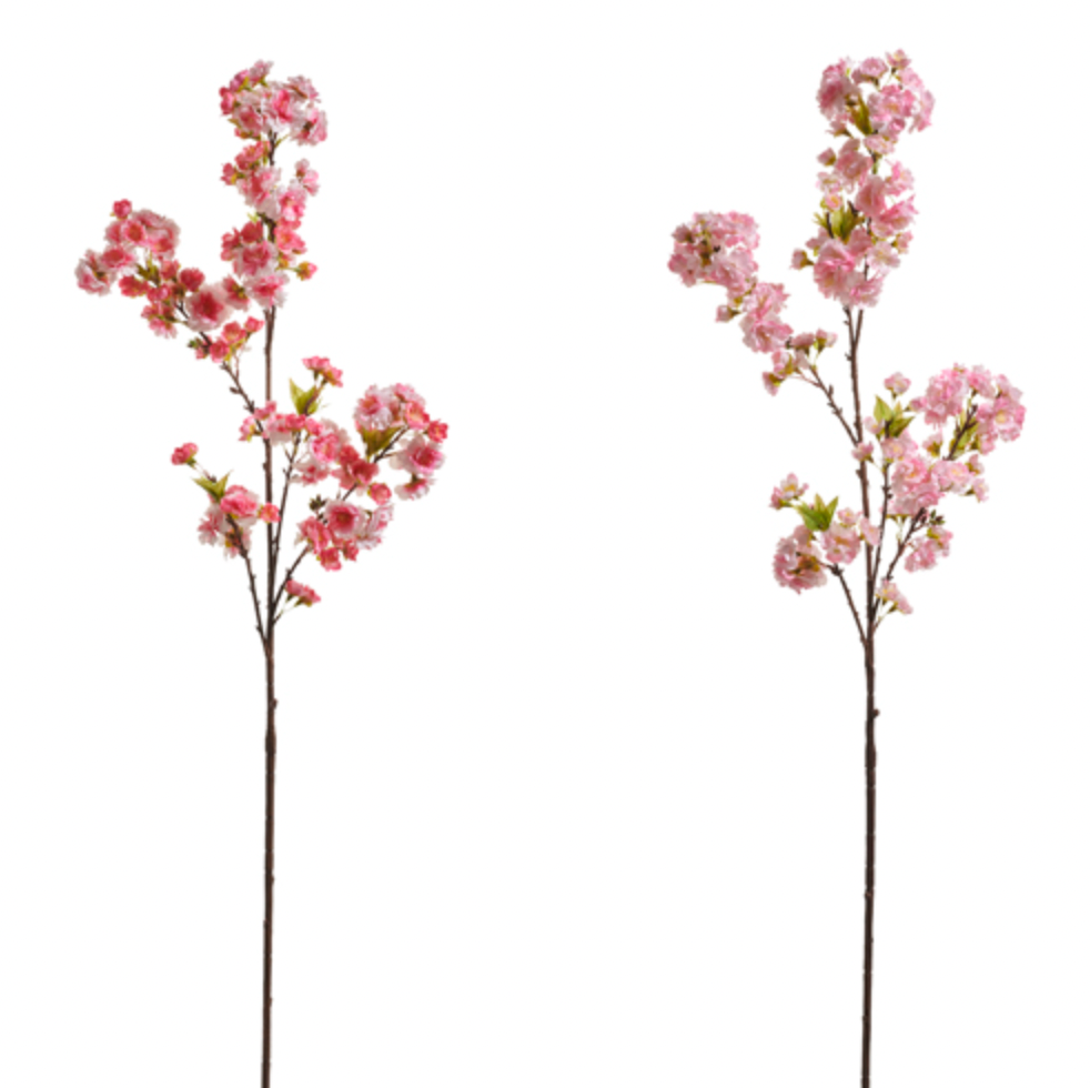 Cherry Blossom Branch – Hiles Two