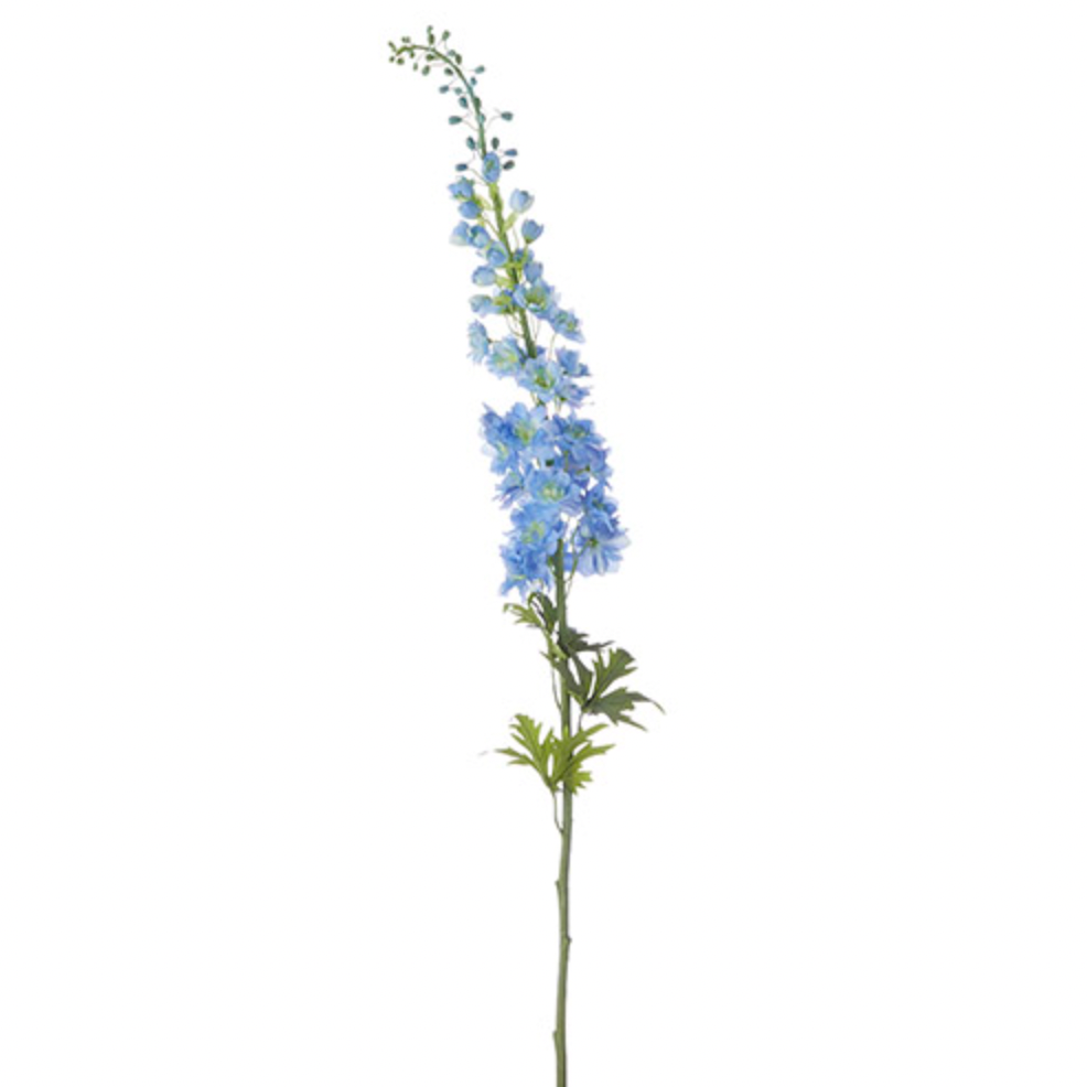 Delphinium Stem – Hiles Two